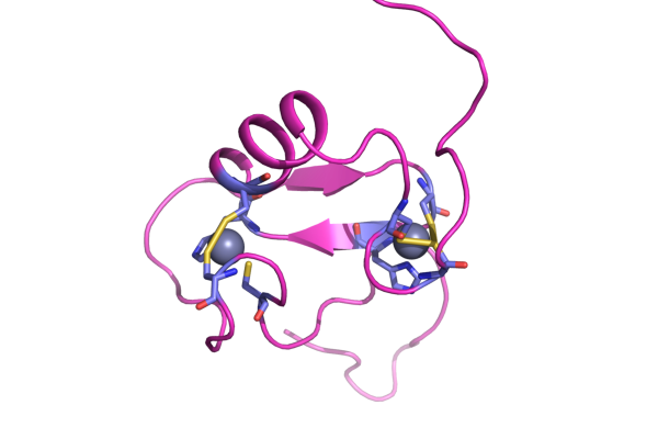 EXPLORING PROTEINS – Patras Science Festival